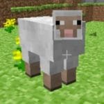 How To Tame A Sheep In Minecraft (And Breed It For Wool!) | Geeky Matters